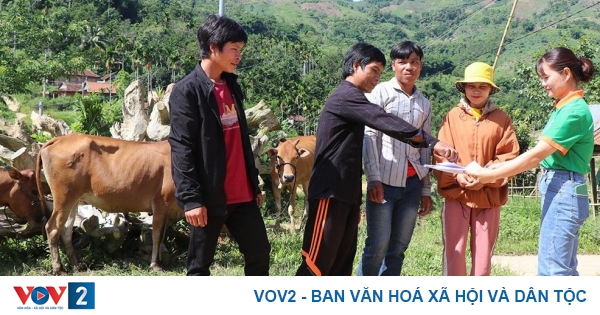 Đào tạo nghề giúp người dân miền núi "vươn mình" thoát nghèo